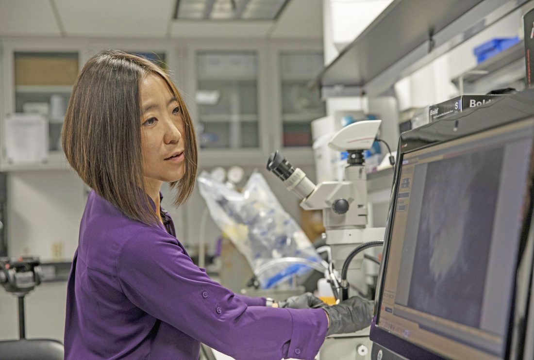 Library of spider silk could hold secrets for new materials | News ...
